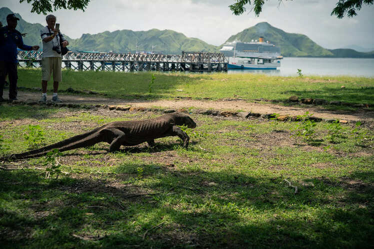 World’s most exclusive wildlife cruise destinations | Times of India Travel