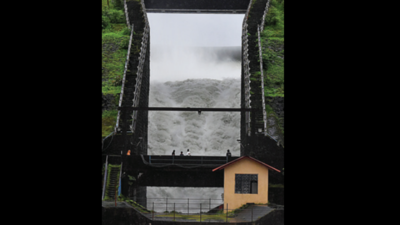 Dam levels below 50%, Goa minister Subhash Shirodkar says enough till ...