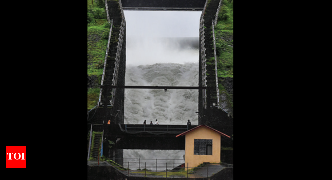 Dam levels below 50%, Goa minister Subhash Shirodkar says enough till ...