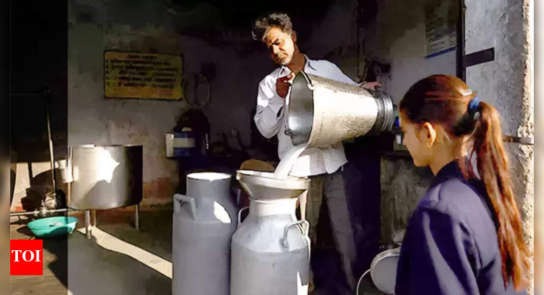 Can Milk Become A New Political Headache For Government India News Times Of India