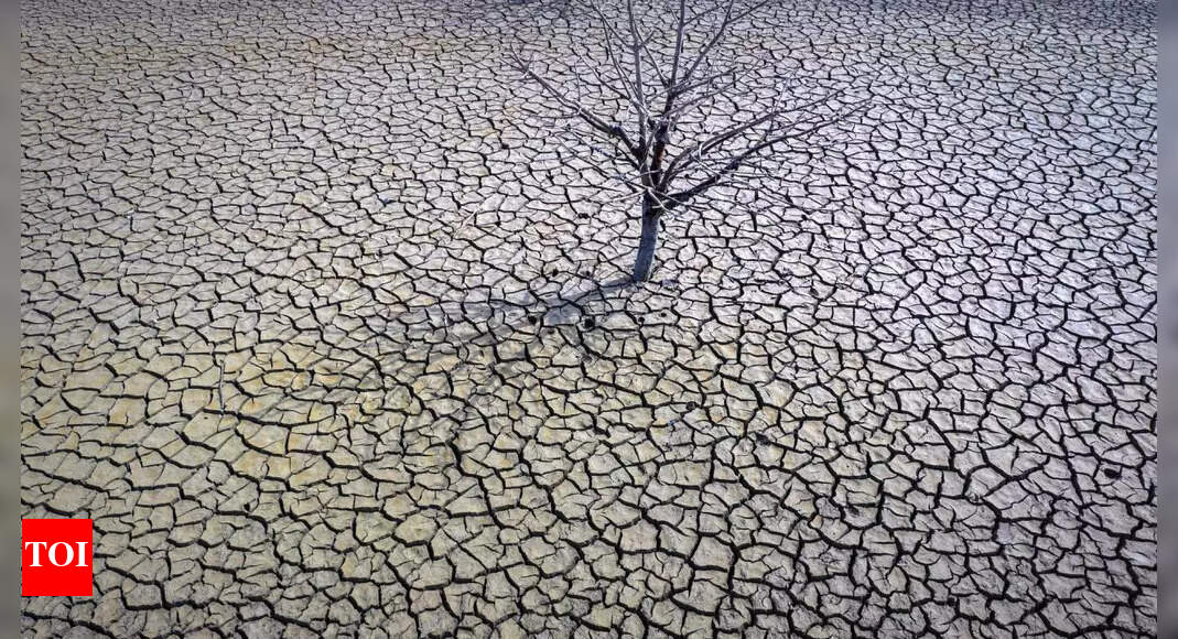 Crop Failure In Spain: Drought will cause crop failures in Spain ...