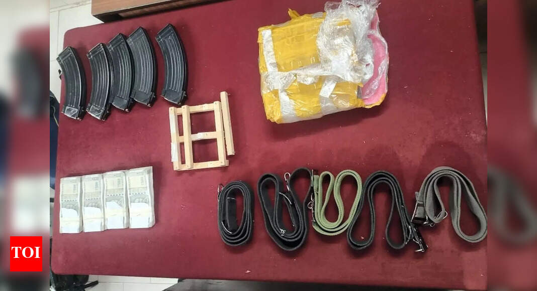 Pakistani drone downed along LoC; arms, ammo recovered | India News ...