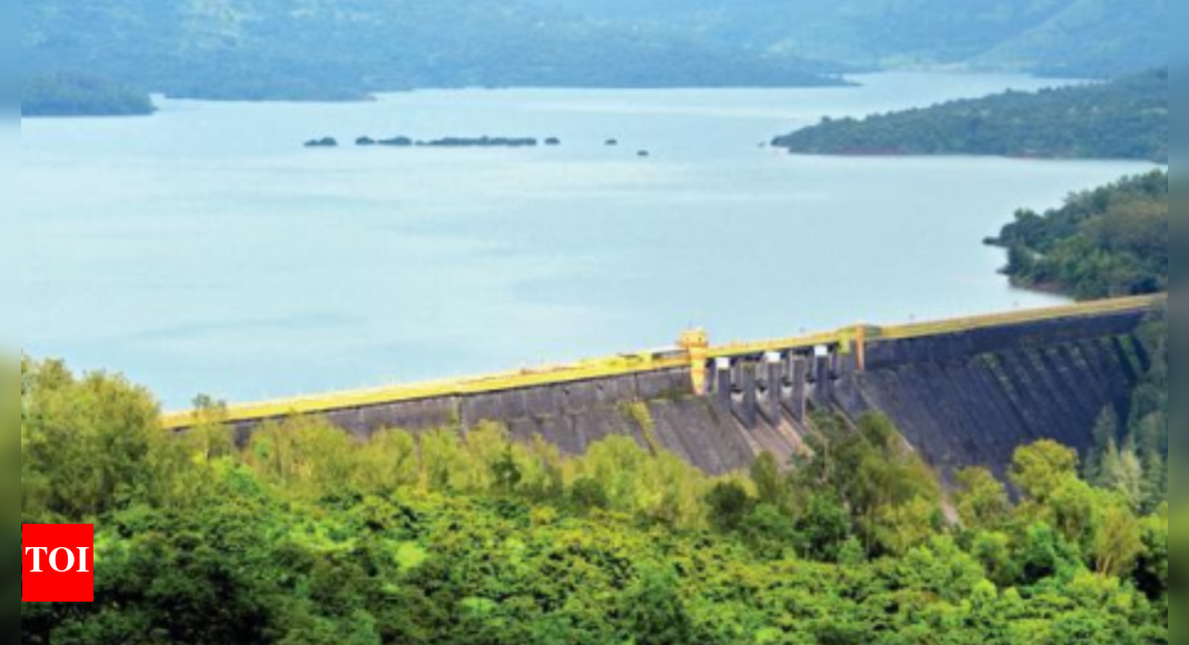 Koyna: ‘start Reducing Dam Water Stock To Prevent Flooding’ | Kolhapur ...