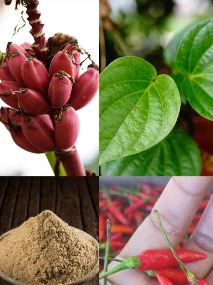 18 Indian foods that have got the GI Tag | Times of India