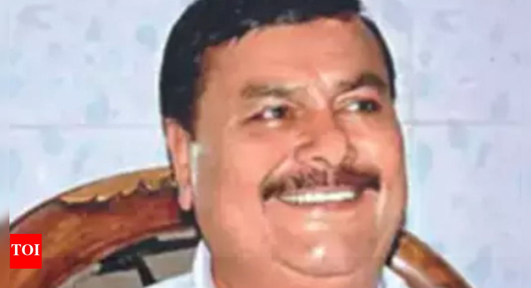 Tore up women's quota Bill in 1998 as BR Ambedkar came in dream: Bihar ...