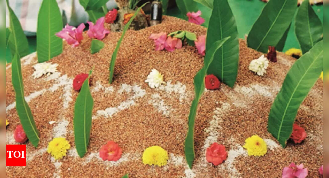 Millets Making Its Way To Dining Table | Bhopal News - Times of India