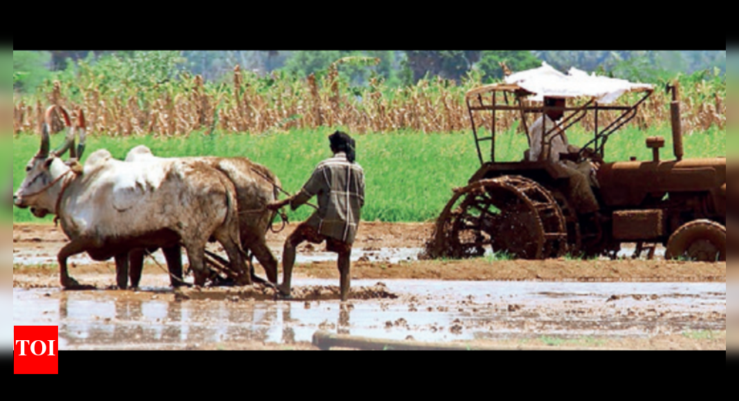 Natural Farming Provides Better Yield In State: Study | Visakhapatnam ...