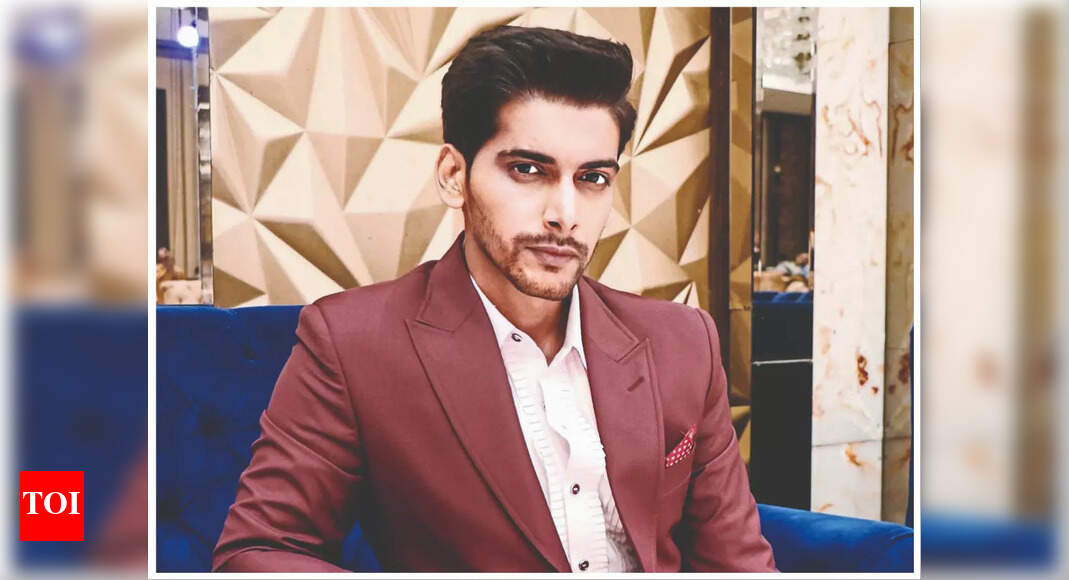 Akshit Sukhija on his show Piya Abhimani ending in less than two months ...