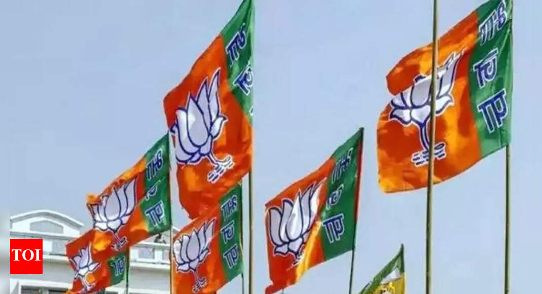 Karnataka Election: Third BJP candidates list of 10 members relased for ...
