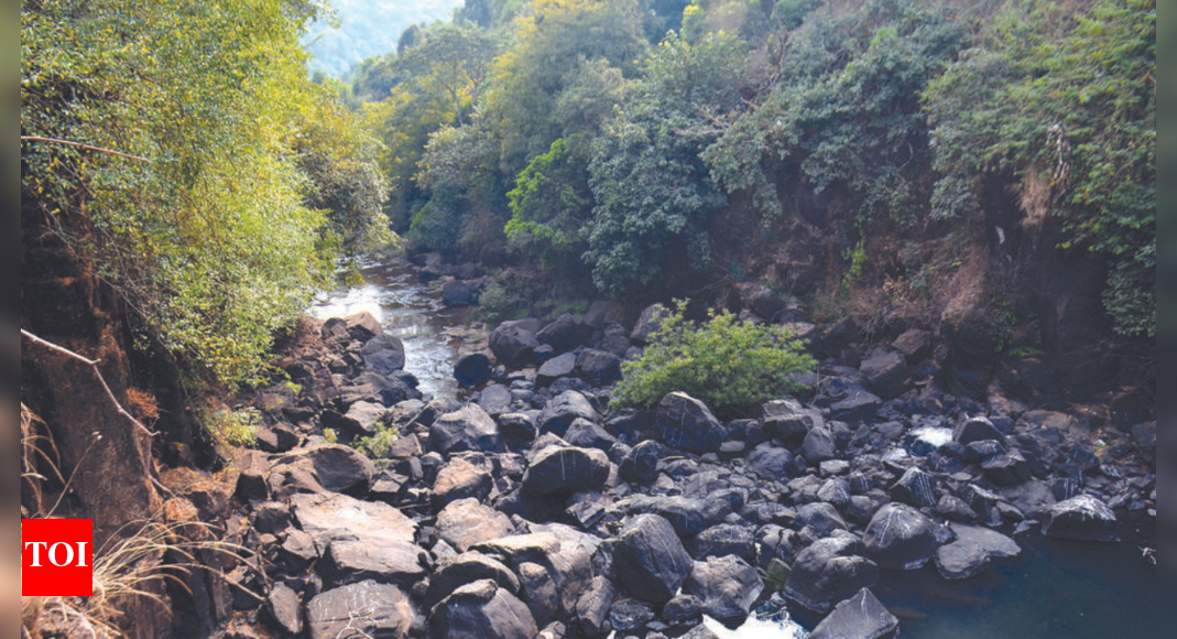 Opposition wants Amit Shah to clarify Goa's role in Mhadei river ...