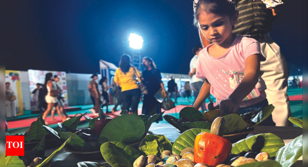 40% demand-supply gap in cashew in Goa: Deviya Rane | Goa News - Times ...