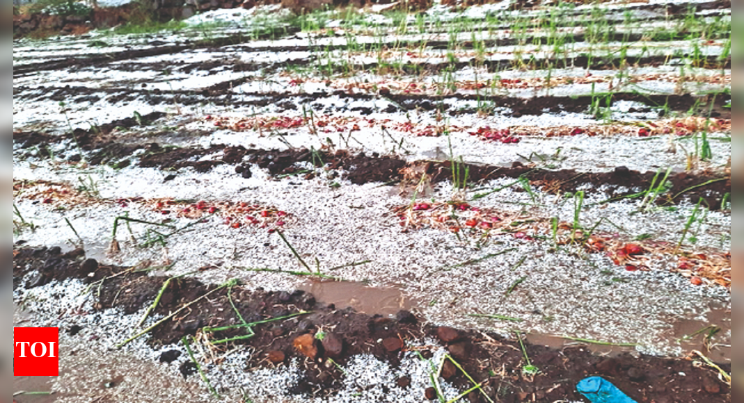 Ashti: Marathwada’s Drought-prone Ashti Taluka Battered By Hail On ...
