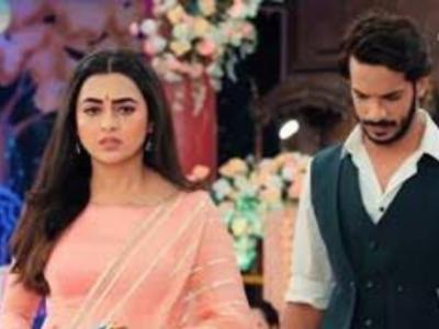 Naagin 6 update, April 16: Prarthana and Raghu learn the truth about ...