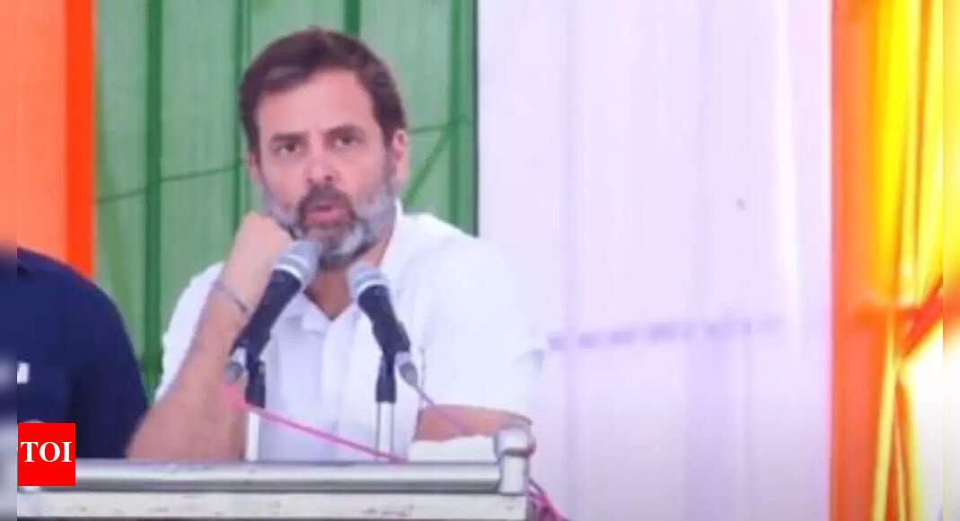 Rahul Gandhi In Karnataka Bjp Rss Attacking Democracy Spreading