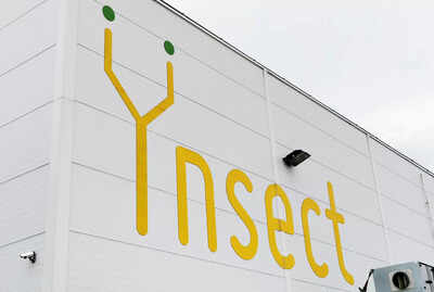 Insect farming startup raises $175 million for food expansion - Times ...