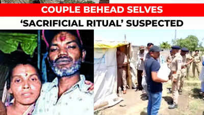 Gujarat: Rajkot couple behead selves using guillotine-like device ...