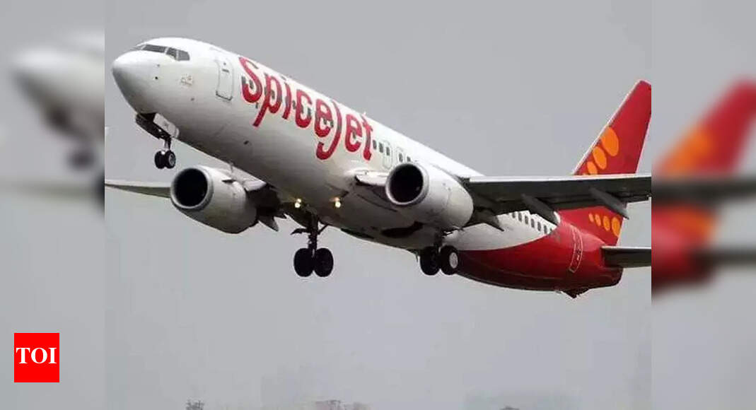 Spicejet: Srinagar-bound SpiceJet flight returns to Delhi airport due ...