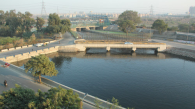 Nmcg: NMCG approves mega projects to clean river Hindon and its ...
