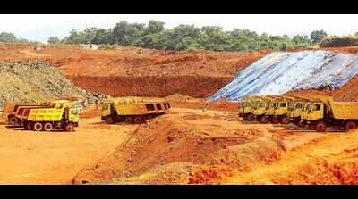 Desilt 5k sqm for restart of agri operations in Sattari: HC to mines ...