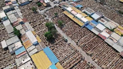 Byadagi: Byadagi Chilli Market Records Its Highest-ever Turnover ...