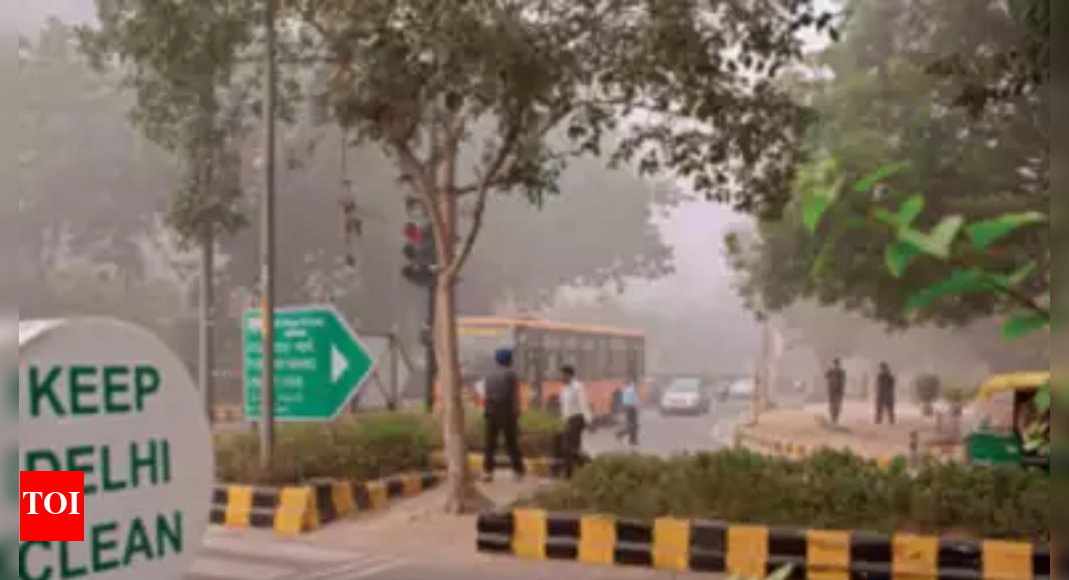 Delhi MCD: How unified MCD plans to clean up its act in runup to swachh ...