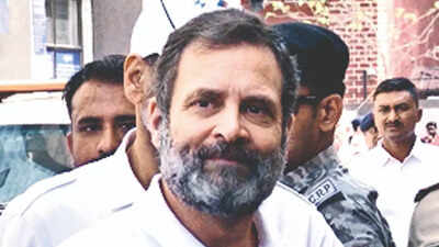 Robin Mogera: Order On Plea To Stay Conviction Likely Today | Surat News - Times of India