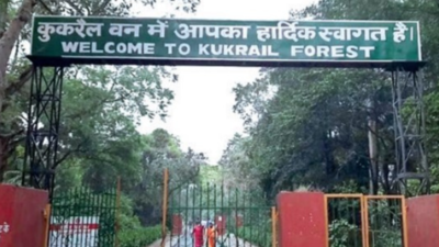 Decks cleared for Kukrail night safari & zoo in Lucknow | Lucknow News ...