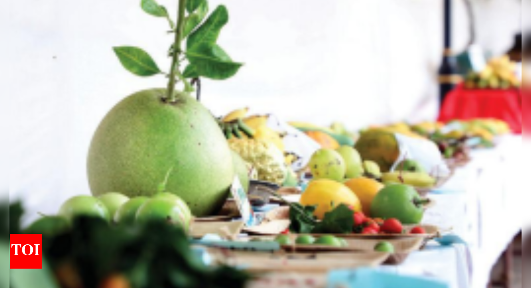 Goa’s young agri grads take the lead for Konkan Fruit Fest | Goa News ...