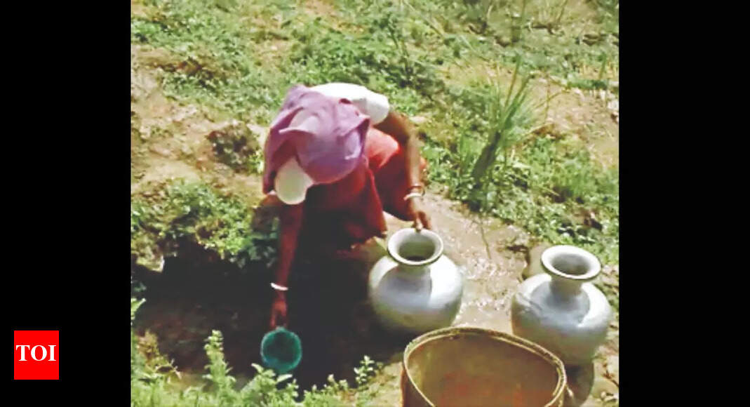 Dima Hasao Dist Faces Severe Water Crisis As Sources Dry Up | Guwahati ...