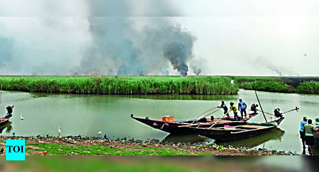 Fire Breaks Out Near Jetty In Chilika | Bhubaneswar News - Times of India