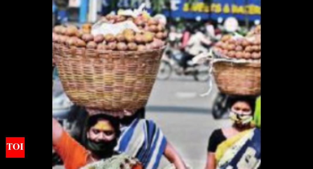 Kiwi: Post-grad girl sets up first kiwi nursery in Kashmir | Jammu News ...