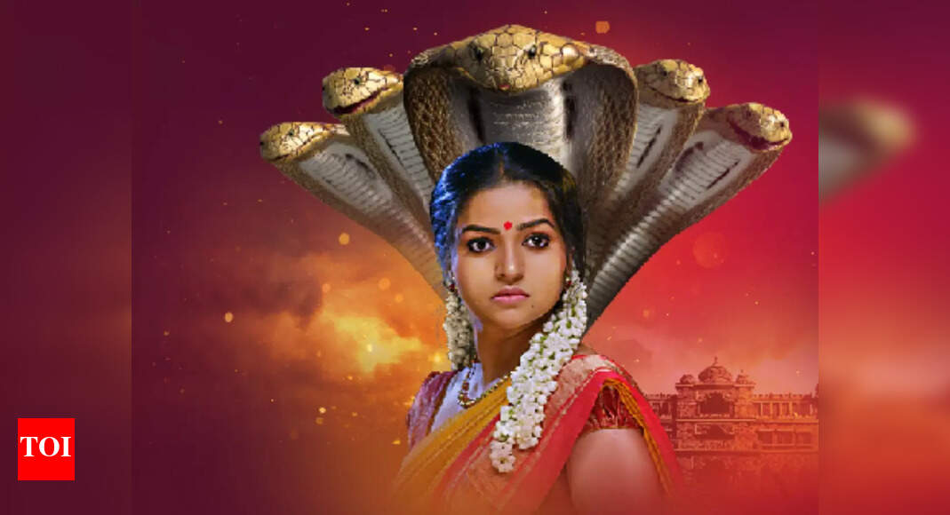 Hit Tamil TV show Nandini’s dubbed version to entertain Bengali ...