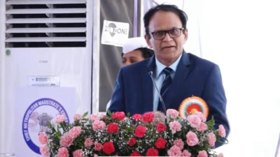 Bombay high court's acting Chief Justice expresses concerns over ...