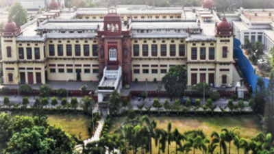 ‘Patli’ gallery at Patna Museum to showcase city’s glorious past ...