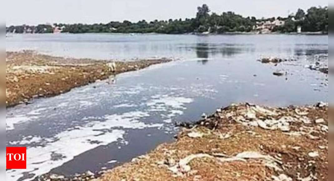 Rs 9.3 crore fine on Agra civic body for polluting Yamuna | Agra News - Times of India