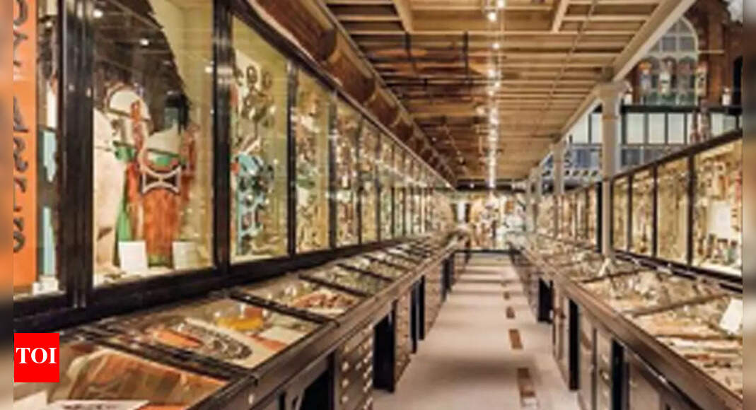 Process to repatriate human remains of Nagas from UK museum under way ...