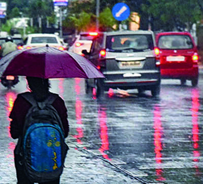 Thunderstorms, Rainfall Likely In Vid For Five Days | Nagpur News - Times of India