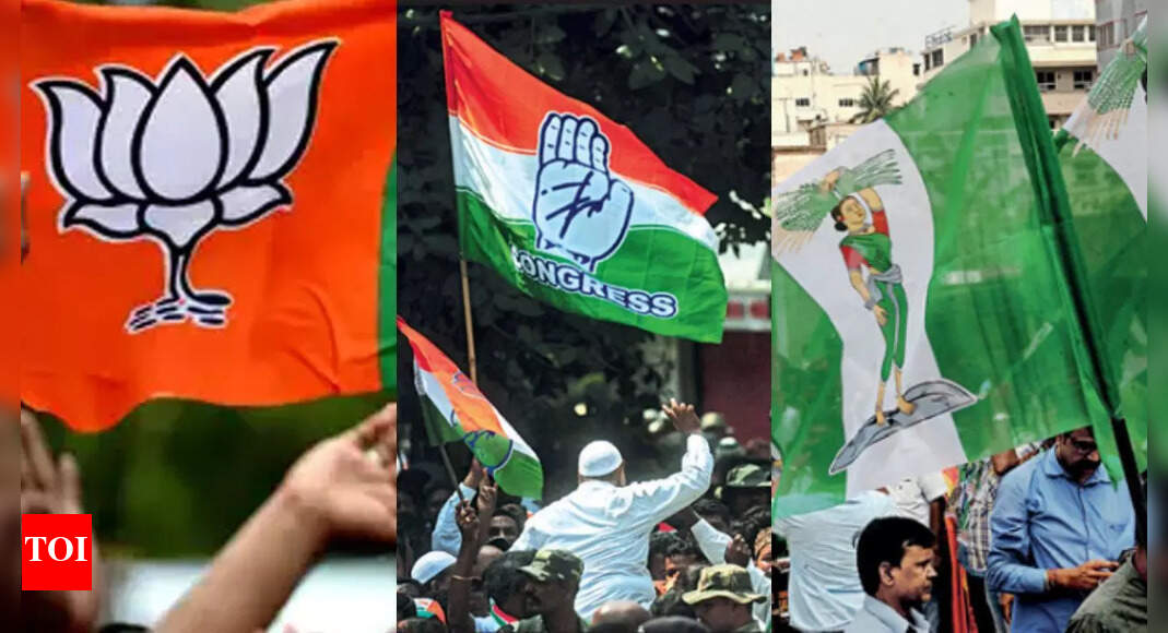 Karnataka election Candidates: 2,613 candidates will battle it out in ...
