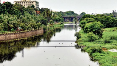 Musi: Experts’ Thumbs Down For Musi Riverfront Project, Say Not Viable ...
