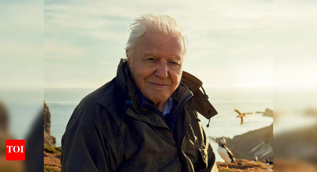 Wild Isles with David Attenborough on OTT is a wakeup call for netizens ...
