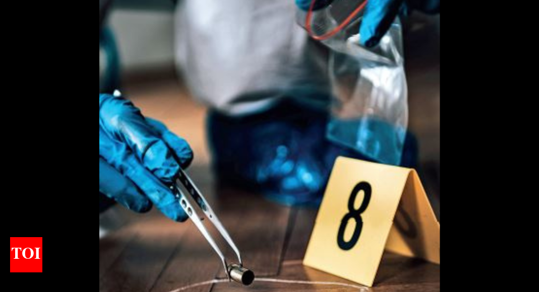 Unravelling mysteries: A sharp rise in forensic probes after rule tweak ...