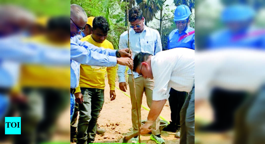 Bokaro Hosts 2.6-acre Miyawaki Forest | Ranchi News - Times of India