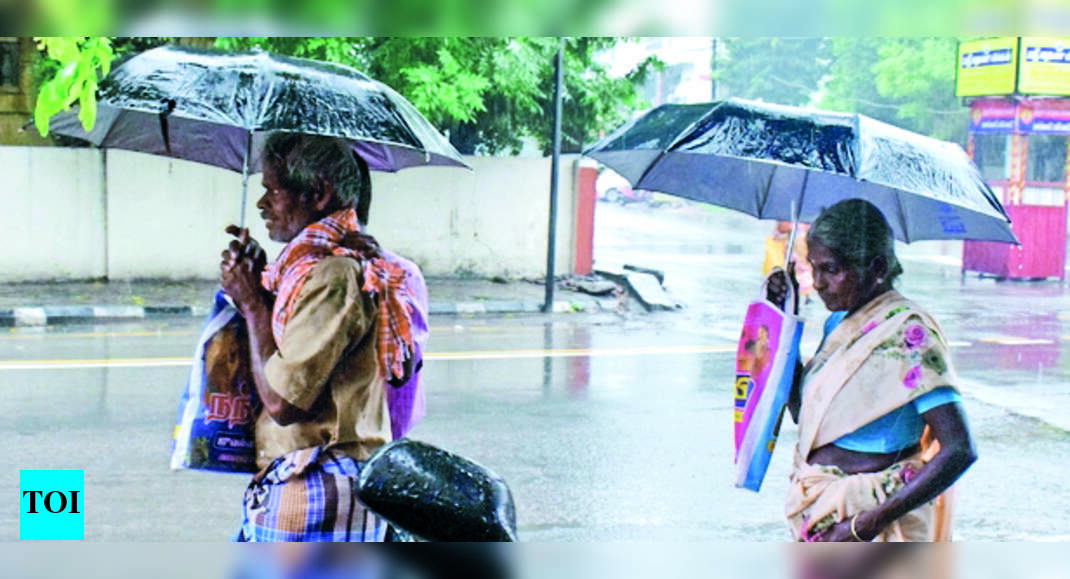 Trichy: Rainfall Brings Respite To Trichy Residents From Scorching Sun ...