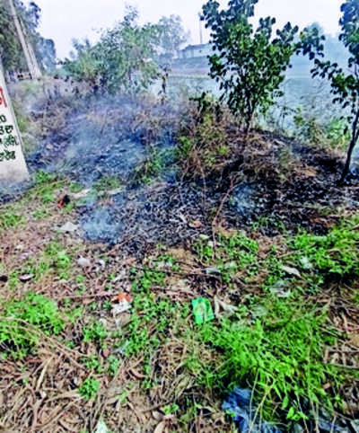 Despite Ngt Ban, Garbage Burning Still A Major Issue | Ludhiana News ...
