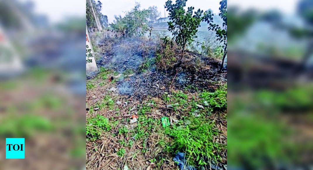 Despite Ngt Ban, Garbage Burning Still A Major Issue | Ludhiana News ...