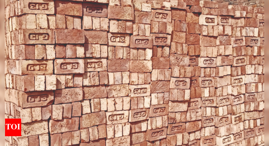 Cheap Bricks From Outside Pb Killing Our Biz: Kiln Owners | Ludhiana ...