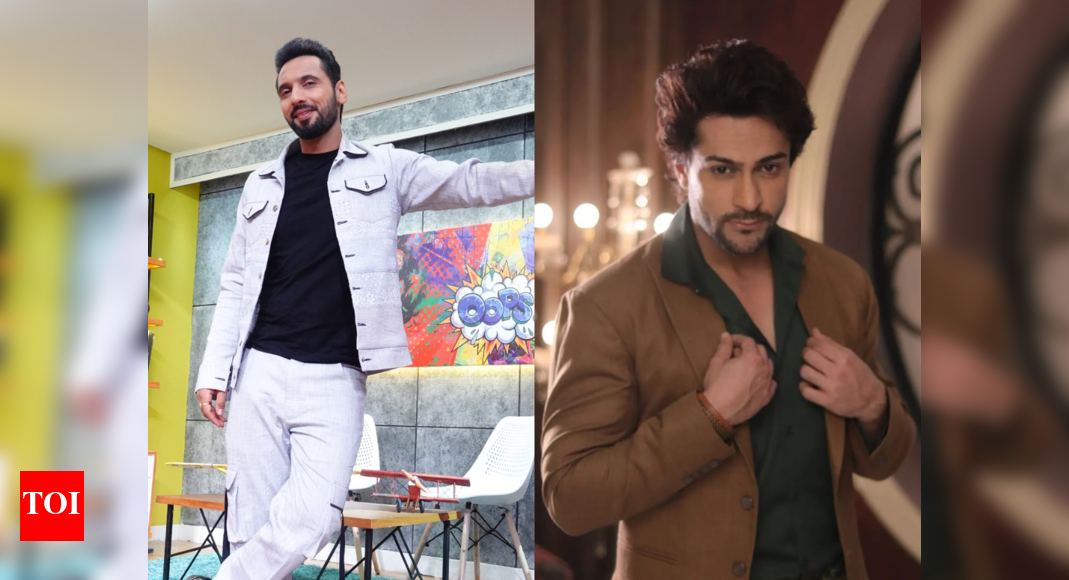 From Punit J Pathak to Shalin Bhanot: TV actors embrace the magic of ...