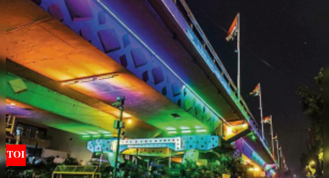 Eye on G20: Facade lighting for Ranjit Singh and Safdarjung flyovers ...