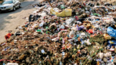 After Ecogreen, Transporters Stop Work, Throw Up Garbage Avenues ...