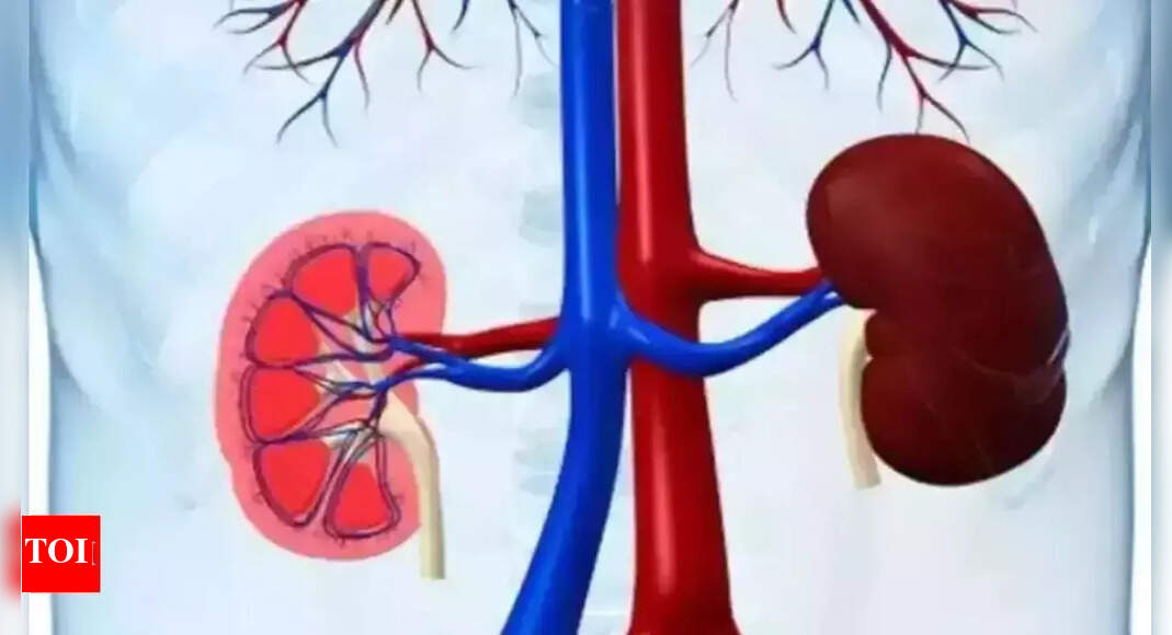 32-yr-old Loses Kidney To Organ Trade Racket | Visakhapatnam News ...